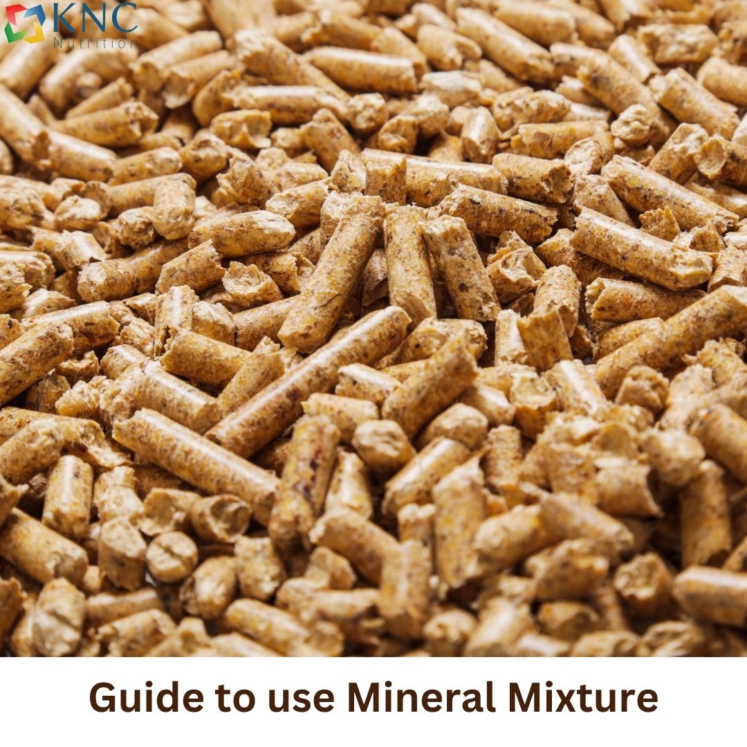 Common Mistakes in Using Mineral Mixture & How to Avoid Them